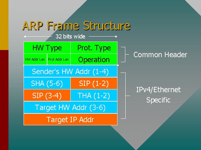 ARP Frame Structure
